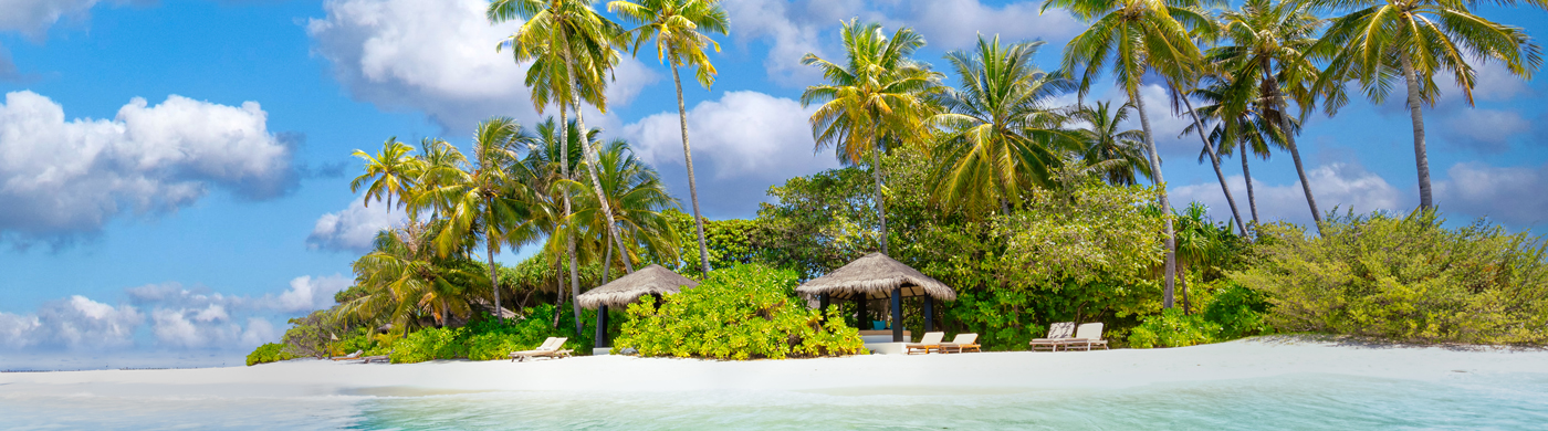 what's new - snack ISLA